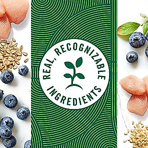 NUTRO Mini Bites Dog Treats Peanut Flavor, 8 oz. Bag