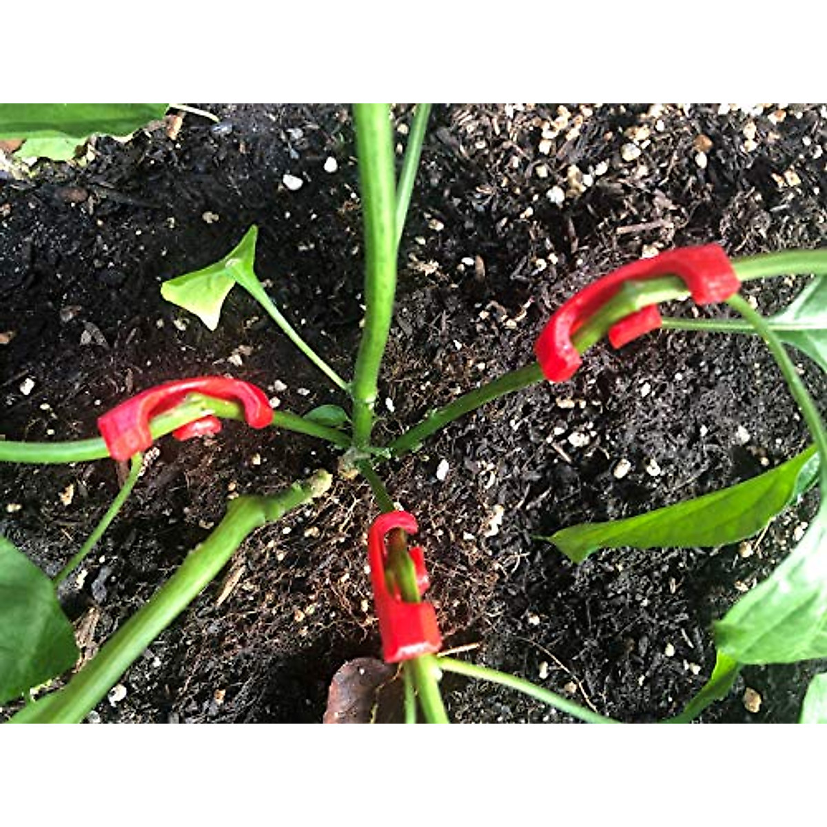 HMG 90 Degree Plant Bender (35 Pack) for Low Stress Training (LST) and Plant Training