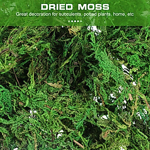 Veemoon 3 Packs of Artificial Moss Dried Moss Fake Lichen Plants for Home Fairy Garden Patio Decoration- Dark Green 60g/ Pack