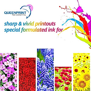 for hp 67 Ink cartridges XL QUEENPRINT for hp67 Ink Cartridge 67XL 67 XL Black/Color Combo Pack for Envy 6055e 6055 6052 6075 Envy Pro 6455e 6455 6475 6452 6458 DeskJet 4155 2755e 2755 4052