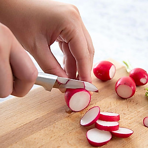 RADA Granny Paring Knife Stainless Steel Blade with Aluminum Handle, Pack of 2