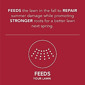 Scotts Turf Builder WinterGuard Fall Lawn Food, 12.5 lb. - Fall Lawn Fertilizer Builds Strong, Deep Grass Roots for a Better Lawn Next Spring - Covers 5,000 sq. ft.