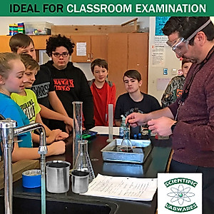 Edu-Labs Stainless Steel Beaker with Rim - Low-Form Beakers for Science - Industrial-Grade Chemistry Lab Equipment, High Heat Tolerance - Scientific Laboratory Supplies for Liquids & Solids - 100ml