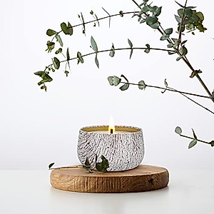 Scented Candles, Mint & Eucalyptus Candles, 9 oz Candles for Home Scented, 50 Hours Long Burning Soy Candle, Candles Gifts for Mother's Day, Valentine, Christma's Gifts