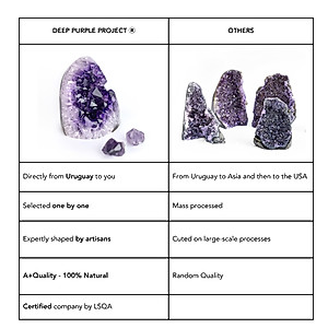 Deep Purple Project Huge A Grade Amethyst Crystal Geode from Uruguay 1.5 lb to 2.2 lb Premium Gift Box Perfect for Collectors