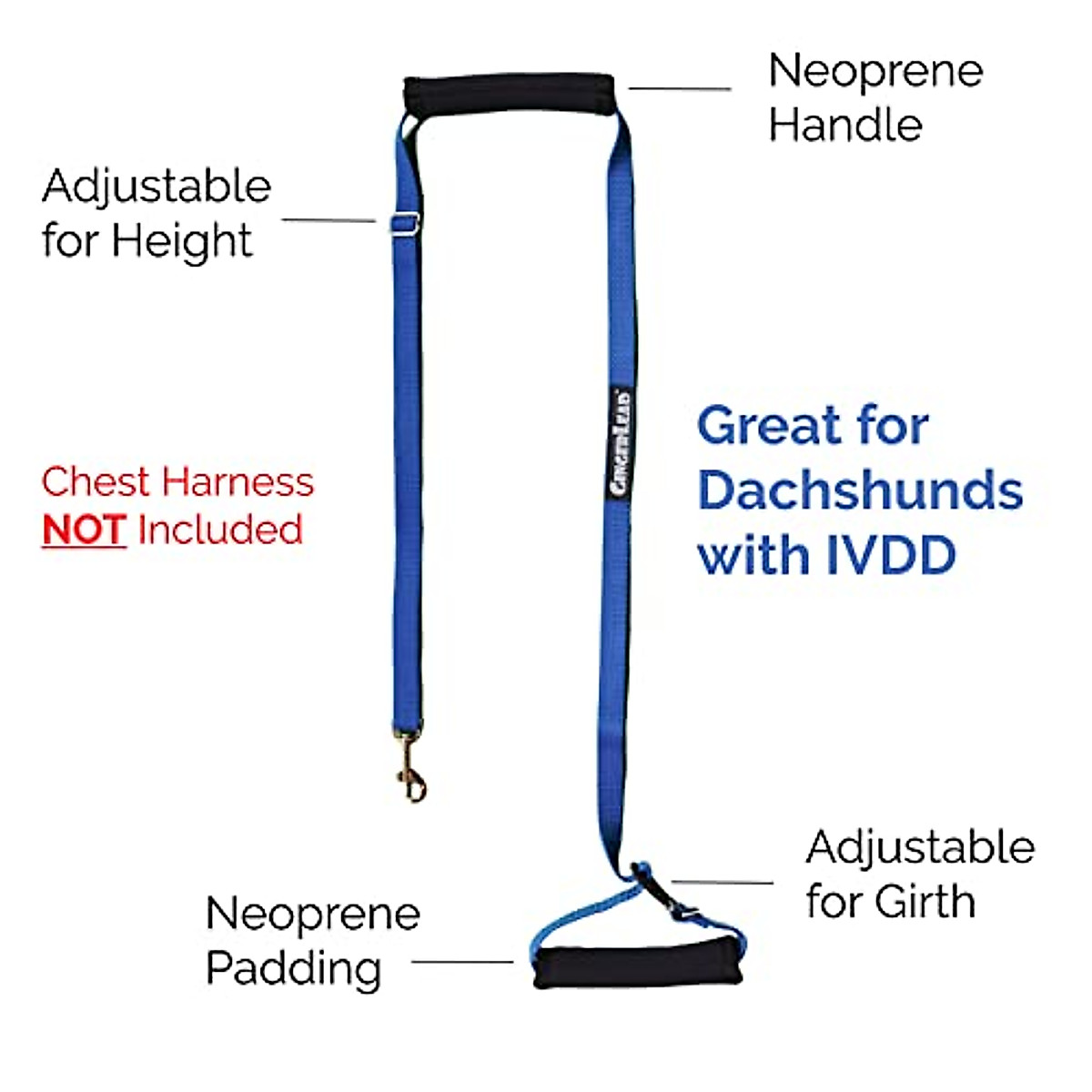 GINGERLEAD Dog Sling Hip Support Harness, X-Small Fits Little Pets Under 25 lbs and Dachshunds with IVDD, Spinal Disc Disease, or Back Injuries. Assist Elderly, Paralyzed, or Recovering Pets.