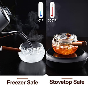 PARACITY Glass Teapot with Infuser Japanese Teapot Stovetop Safe Teapot Blooming and Loose Leaf Tea Maker with Wooden Handle Kyusu 11.8 oz 350 ml