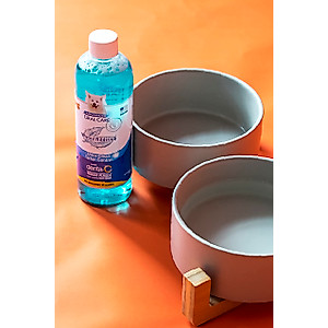 Nylabone Advanced Oral Care Dog Water Additive for Dental Care - Liquid Tartar Remover - Dog Breath Freshener & Teeth-Cleaning Liquid (16 oz.)