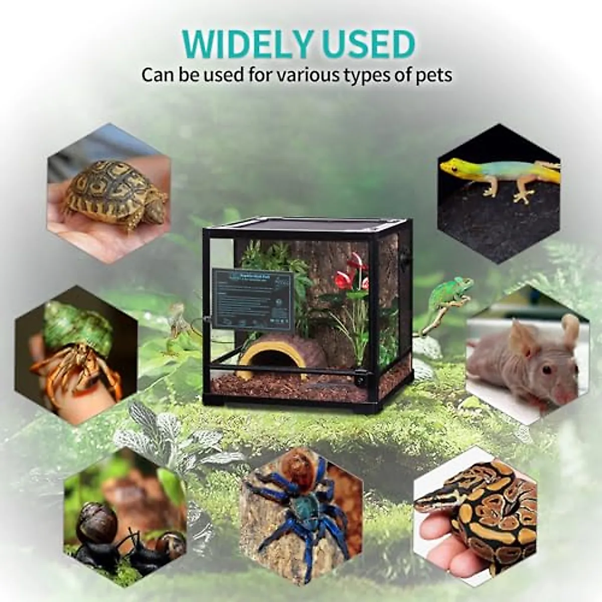 GOLOPET Reptile Heating Pad- 6X8 Inch 8W Heating Pad for Reptile Tank(10-20gal),Warmer Reptile Heat Mat for Hermit Crab, Turtles, Lizards, Frogs, and Other Reptiles