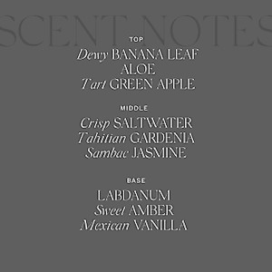 Antica Farmacista Scented Candle, Lush Palm, 9 Ounce