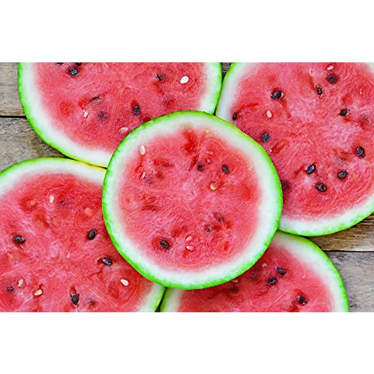 Charleston Grey Watermelon Seeds for Planting, 30+ Heirloom Seeds Per Packet, (Isla's Garden Seeds), Non GMO Seeds, Botanical Name: Citrullus lanatus, Great Home Garden Gift