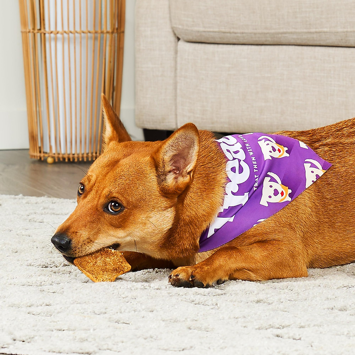 Treatly Collagen Crisps Assorted Chicken Flavor, 10oz/1 Pack