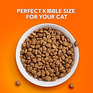 IAMS Proactive Health Adult Indoor Weight & Hairball Care Dry Cat Food with Salmon, 7 lb. Bag