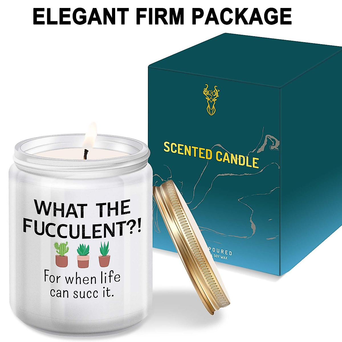 Funny Gifts for Friend Women Unique Birthday Christmas Gift for BFF Best Friend Cactus Succulents Friendship Presents for Sister Female Coworker Men - Lemongrass Sage Candles(7oz)