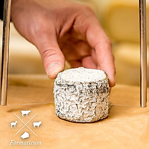 Formaticum Replacement Cheese Slicer Wire - Replacement Wire for Cheese Cutter - Cheese Cutter Wire Replacement - Cheese Slicer Wire Replacement - Cheese Wire Cutter - Wire Cheese Slicer - 5 Inches