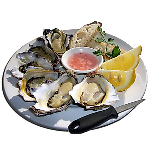 ZZJKeep 10 Pack Oyster Knife,Stainless Steel Seafood Opener Tool,Clam Shellfish and Oyster Knife Shucker with Nylon Handle, Oyster Shucking Knife Set for Shucking Oysters