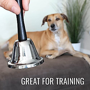 DMI Hand & Call Bell to Care for The Sick and Elderly/ Signal Dinner/ Call for Pets, Silver, 4.75"