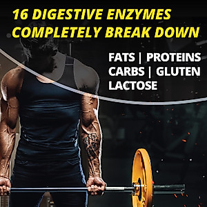 Gains in Bulk, Athlete Digestive Formula, Digestive Enzymes and Probiotics (90 Count) 8 Strains of Live probiotics, 16 Different Plant enzymes. Patented Stabilized Probiotics