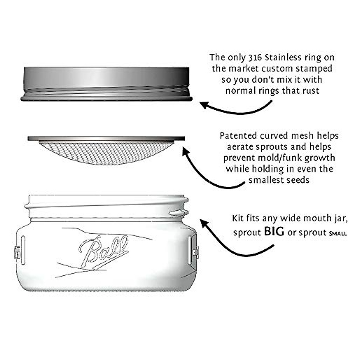 Organic Broccoli Sprout Growing Kit - Includes 316 Stainless Steel Sprouting Lid, Sprout Stand, and Organic Non-GMO Broccoli Sprouts Seeds - Complete Broccoli Sprout Kit by Handy Pantry & Trellis + Co