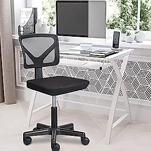 Ergonomic Home Office Desk Chair, Adjustable Armless Computer Chair with Lumbar Support, Small Mesh Task Chair with Backrest Swivel Rolling for Study, Office, Conference Room