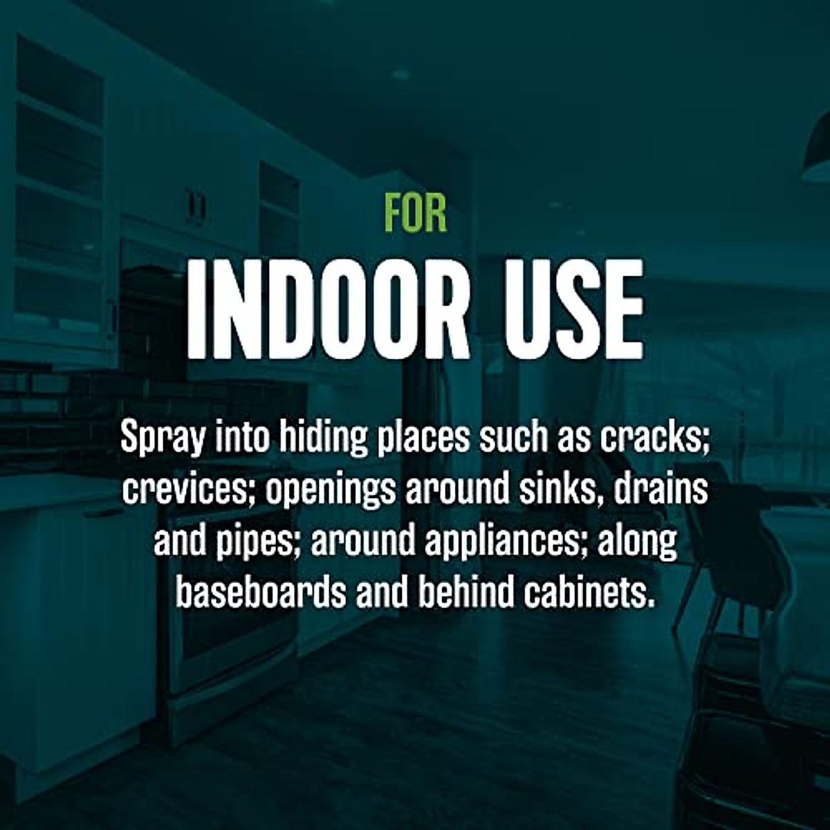 Ecologic Eco-Logic Ant & Roach Killer, Pack of 12