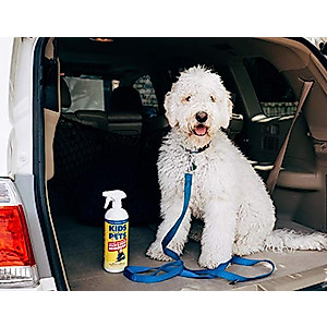 KIDS 'N' PETS - Instant All-Purpose Stain & Odor Remover – 27 fl oz - Permanently Eliminates Tough Stains & Odors – Even Urine Odors - No Harsh Chemicals, Non-Toxic & Child Safe, Multi-Color