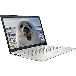 HP 2022 17.3" FHD IPS Laptop, 11th Gen Intel Core i5-1135G7(Beats i7-1065G7), 16GB RAM, 512GB PCIe SSD, Backlit Keyboard, Intel Iris Xe Graphics, HD Webcam, Windows 11 Pro, Silver, 32GB USB Card
