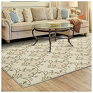 SUPERIOR Area Rugs for Bedroom, Farmhouse, Kitchen, Entryway, Laundry Room | Living Room Decor | Aberdeen Collection, 8' x 10', Beige