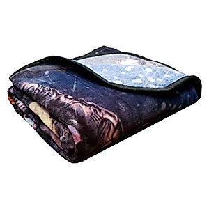 Marvel's Avengers Endgame, "Heroes Defense" Silk Touch Throw Blanket, 40" x 50", Multi Color