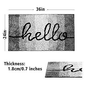 SUNNOW Indoor Doormat Front Door Entrance Door Mat 36x24 inch Non-Slip Absorbent Mud Trapper Mats, Machine Washable Low Profile Inside Entryway Small Area Rug