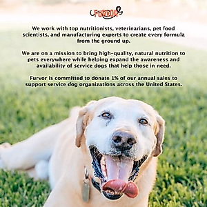 Furvor Beef Bone Broth for Dogs - Collagen Protein Supplement for Digestion, Mobility, Coat, Immune System, Healthy Dog Food Topper, Meal Boost Gravy, Grain Free, Made in USA 16 oz