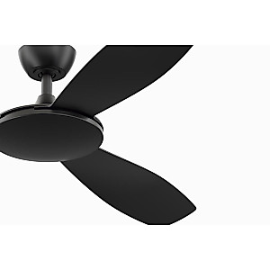 Fanimation GlideAire Indoor/Outdoor Ceiling Fan with Black Blades 52 inch - Black
