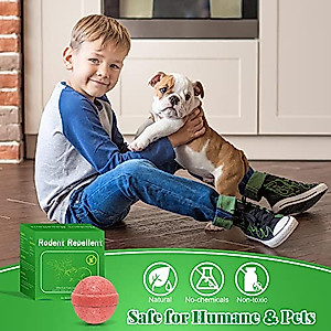 12 Pcs Natural Mouse Repellent Peppermint Oil to Repel Mice and Rats, Rodent Repeller for Car Engines Home Kitchen Indoor Outdoor,Keep Moles & Voles Out of Your Lawn and Garden, Pet Safe