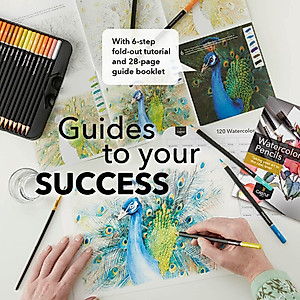 Castle Art Supplies 120 Watercolor Pencils Set | Quality Vibrant Pigments | Draw and Paint at Same Time | For Adult Artists and Professionals | Protected and Organized in Presentation Tin