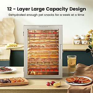 Food-Dehydrator Machine 12 Stainless Steel Trays, 800W Dehydrator for Herbs, 10.9ft² Meat Dehydrator for Jerky,190ºF Temperature Control,24H Timer,Powerful Drying Capacity for Fruits,Yogurt