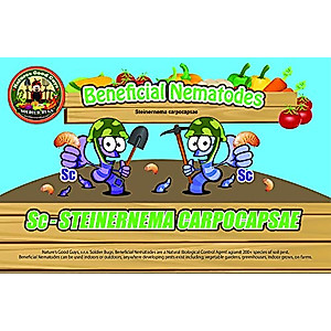 Bug Sales Beneficial Nematodes Steinernema carpocapsae SC - 50 million