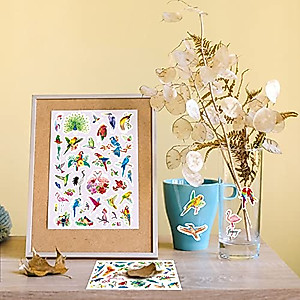 Watercolor Bird Stickers Party Favors 730 Counts Animal Jungle Woodland Tropical Birds Flamingo Parrot Stickers Gift Water Bottle Scrapbook Laptop Planner Stickers Kids Boys Girls Birthday Party