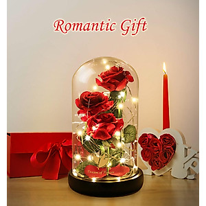 Women Gifts Idea Birthday, Unique Gifts for Mom, Birthday Gifts for Women Anniversary Rose Gift Decorations Beauty and The Beast Rose Flowers Romantic Red Silk Rose Flower in Glass Dome