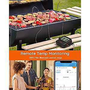 Govee Wireless Meat Thermometer, Bluetooth Meat Thermometer for Smoker Oven, Digital Grill Thermometer with 4 Probes, Remote App Timer Mode, Smart BBQ Thermometer for Cooking Turkey Fish Beef