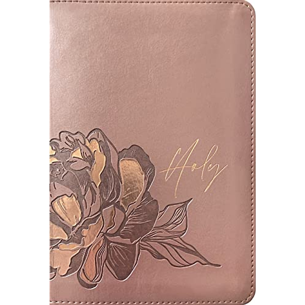 NLT Compact Giant Print Bible, Filament-Enabled Edition (LeatherLike, Rose Metallic Peony, Indexed, Red Letter)