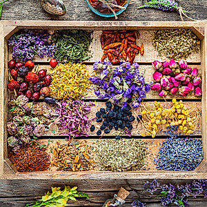 Fetcasy Herbal Cigarettes - Tobacco and Nicotine Free - 2 Packs 40 Smokes