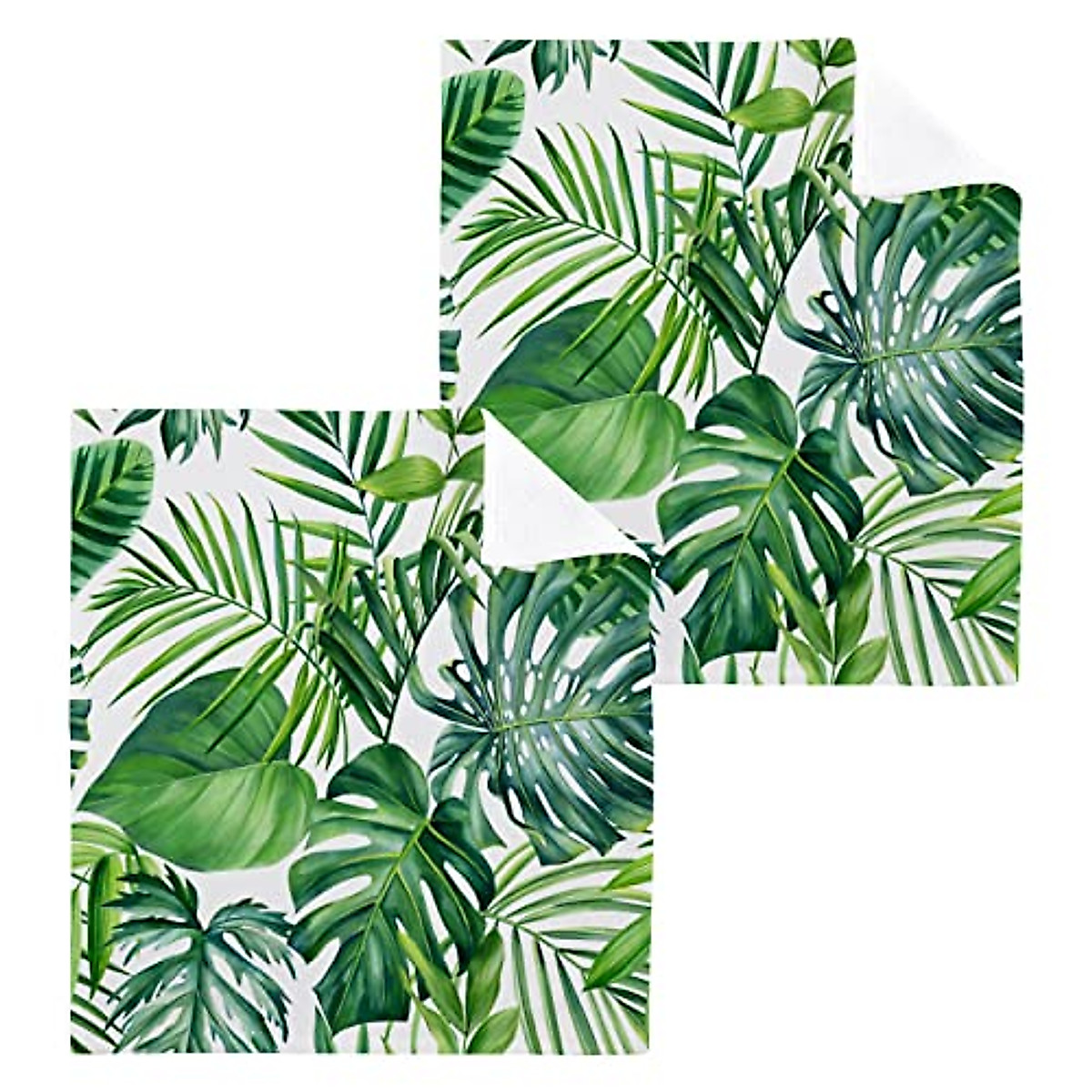 ALAZA Wash Cloth Set Tropical Palm Leaves(29c2) - Pack of 6, Cotton Face Cloths, Highly Absorbent and Soft Feel Fingertip Towels(238rh9a)