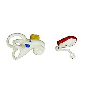 Parco Scientific PB00066-CC3 4X Ear | External, Middle & Inner Ear | 5 Removable Pieces Include Temporal Bone, Auditory Canal, Labyrinth, Tympanic Membrane, Malleus and Incus | W Key & Carrying Case