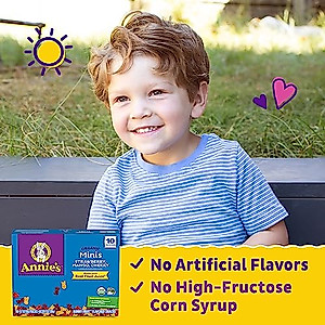 Annie's Organic Minis Bunny Fruit Flavored Snacks, Strawberry, Mango & Cherry, Gluten Free, 10 Pouches, 7 oz.