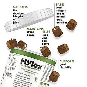 Hylox Dog Joint Supplement (240 Soft Chews)