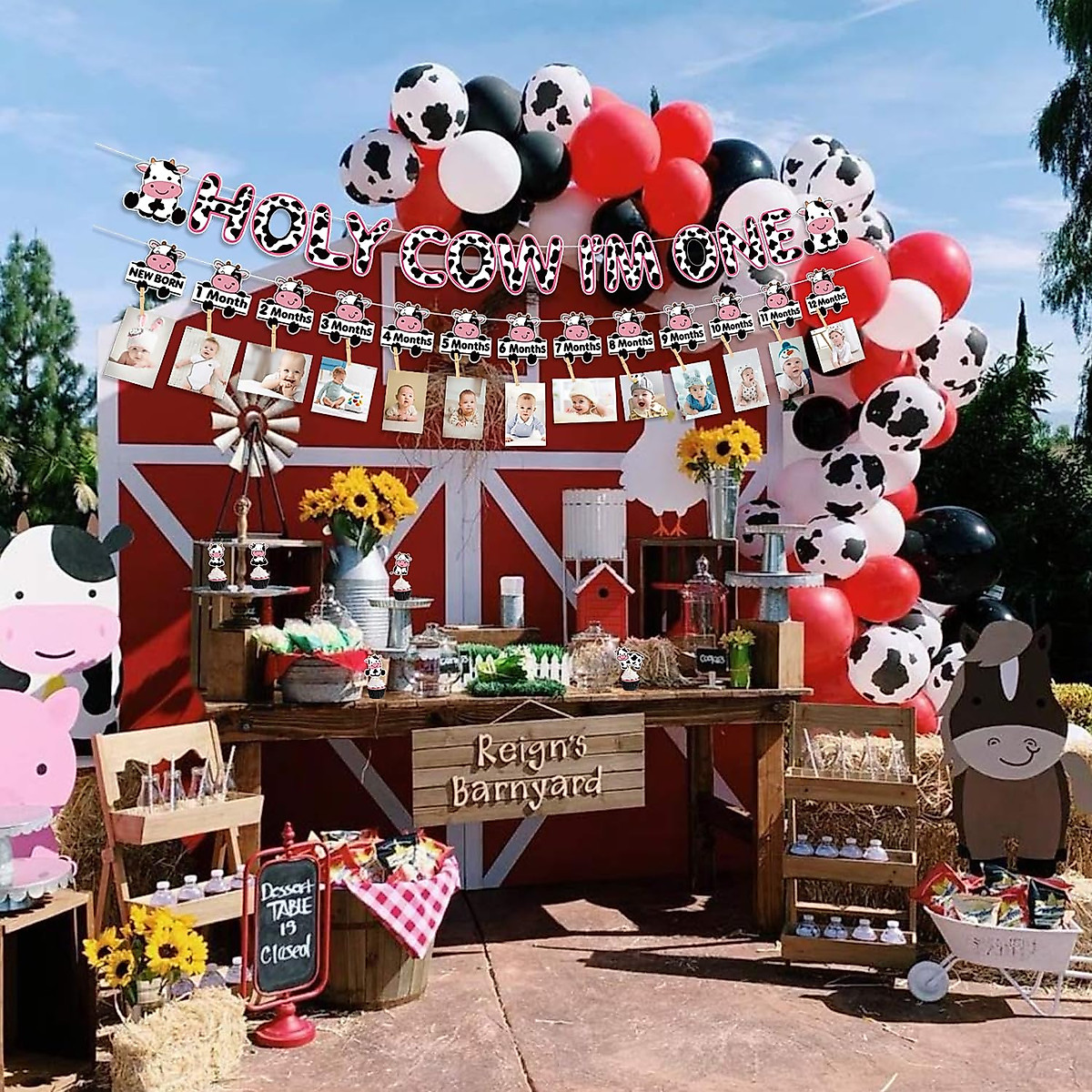 Cow 1st Birthday Decorations, include Holy Cow I'm One Banner, Cow Monthly Photo Banner, Farm Animals Cow First Birthday Party Decorations for Girls First Birthday Party Supplies