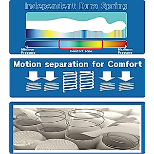 Olee Sleep 10 inch Omega Hybrid Gel Infused Memory Foam and Pocket Spring Mattress (Queen)