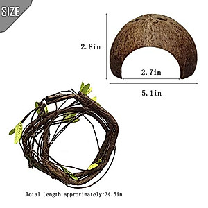 PINVNBY Bearded Dragon Tank Accessories,Lizard Habitat Hammock Reptile Natural Coconut Shell Cave Jungle Climber Bendable Vines Leaves Decor for Gecko Chameleon Snakes Lizards(5 Pcs)