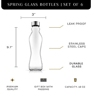 JoyJolt Spring Glass Water Bottles Set of 6-18 oz Glass Bottles with Stainless Steel Caps - Glass Drinking Bottles with Leakproof Lids - Reusable Glass Juice Bottle - Container Bottle Set