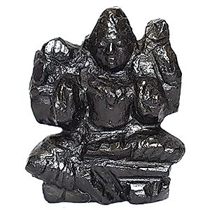 Rudrakshguru Goddess Lakshmi Idol Carved on Natural Sudarshan Shaligram